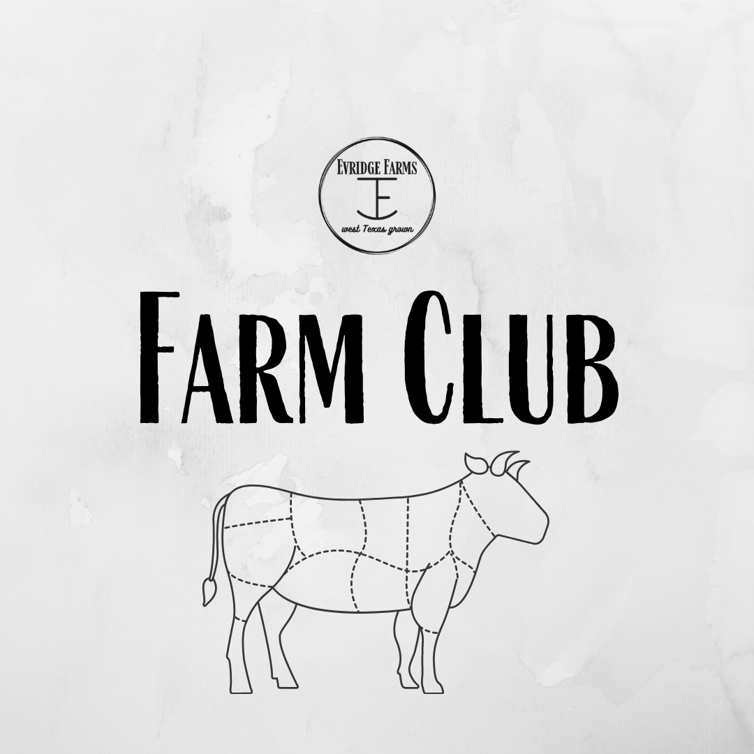 Farm Club- Ground Beef Subscription Box – Evridge Farms